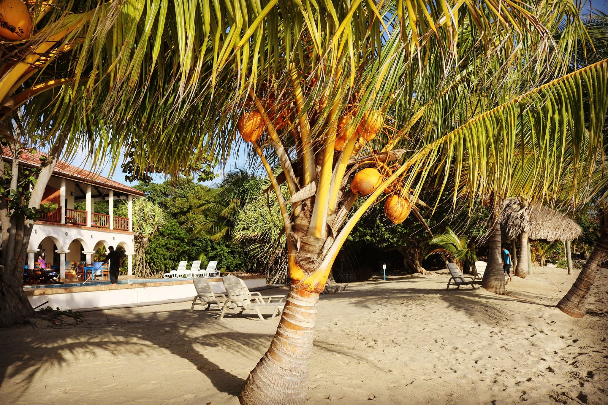 TripAdvisor 2015 Certificate Of Excellence! - Mariposa Beach Resort